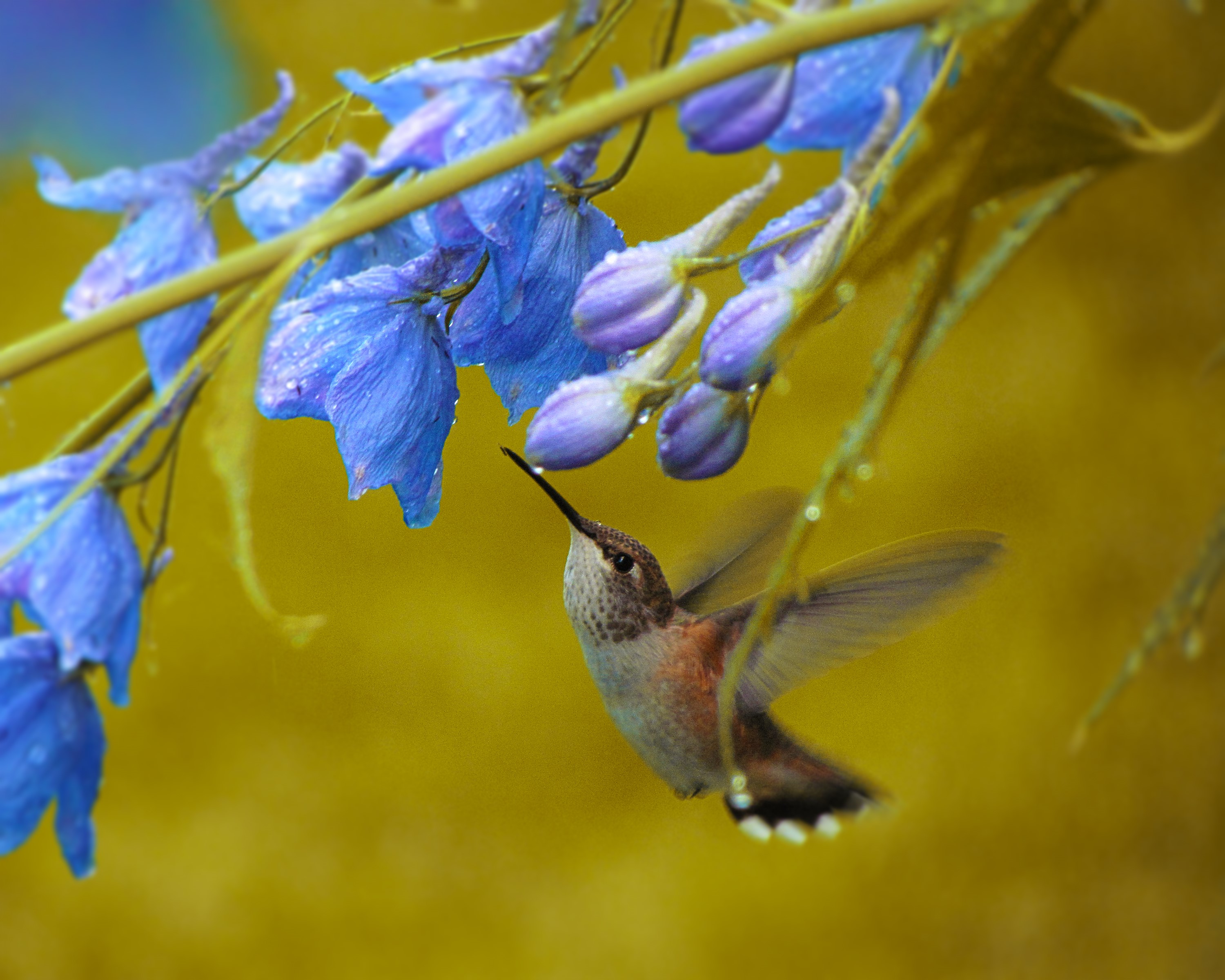 Photo Gallery | Wrangell Alaska